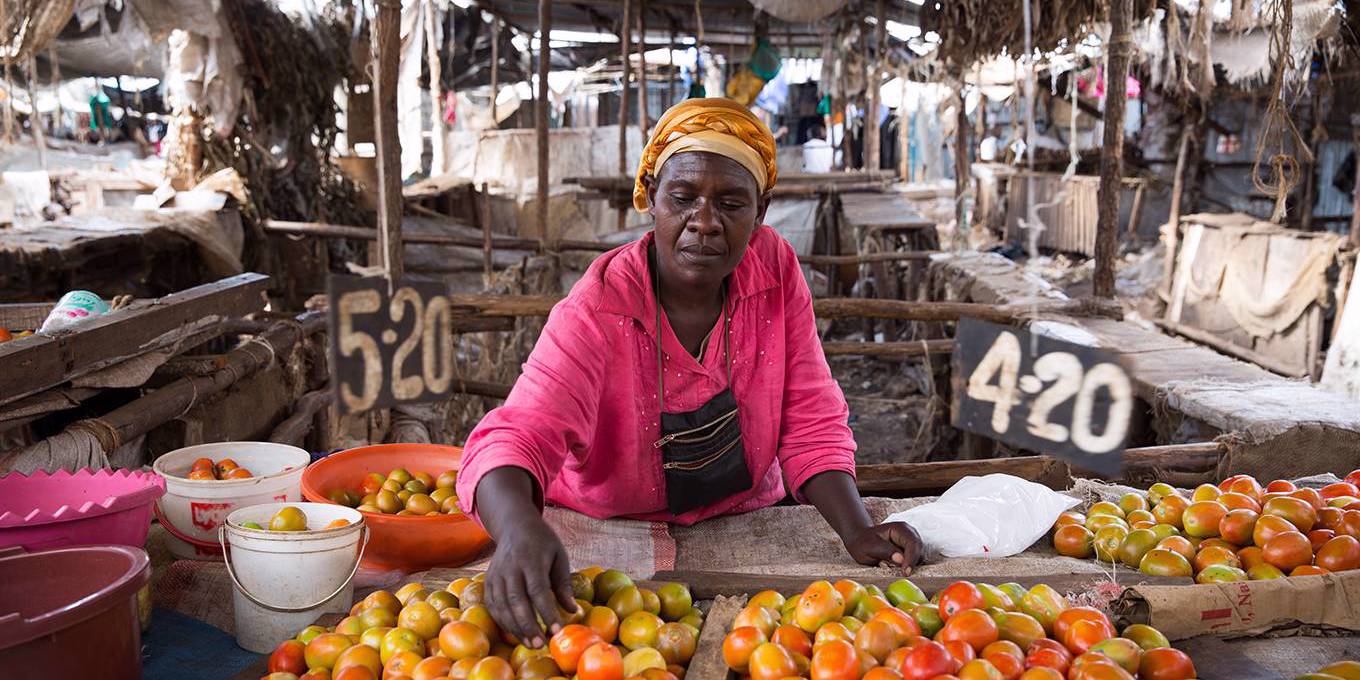 Helping Africa’s Smallholders Feed the World by Usman Ali Lawan ...
