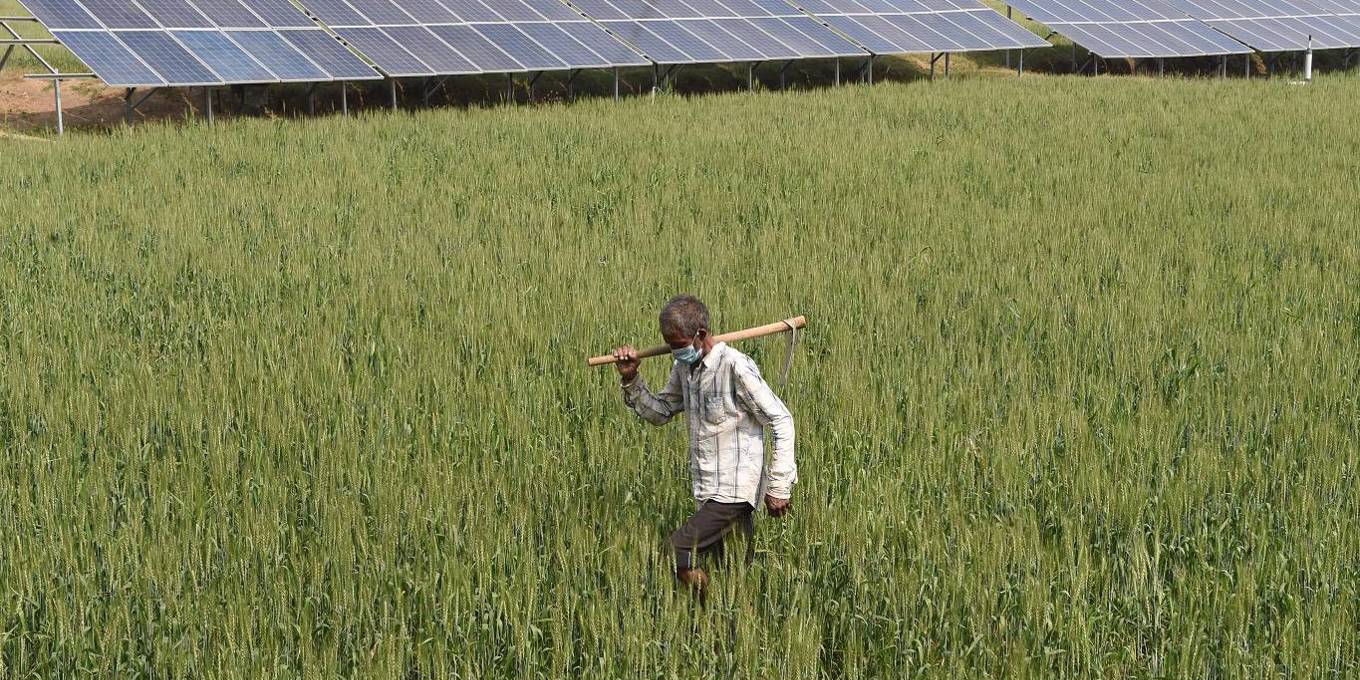 Think Small to Fight Climate Change by Kristina Skierka & Richenda Van ...