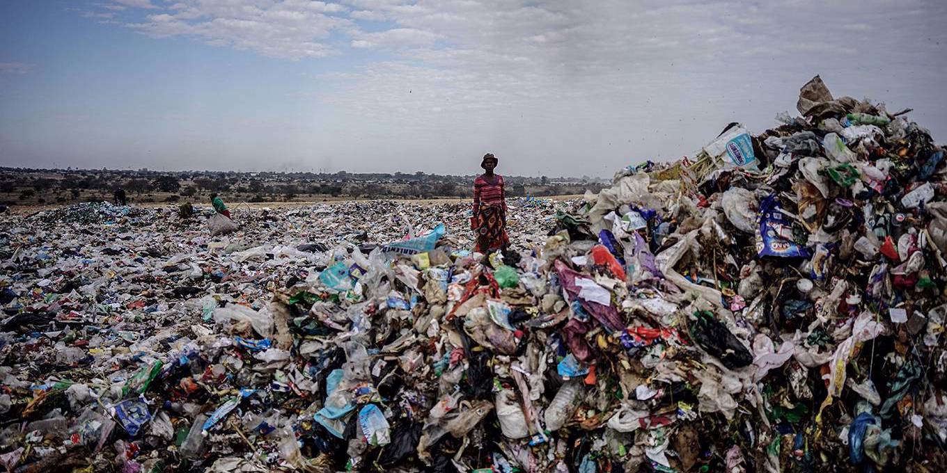 Why the Plastic Crisis Matters by Froilan Grate & Lili Fuhr - Project ...