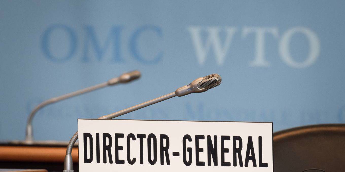 Making the WTO Work for Africa by Hippolyte Fofack & Pat Utomi ...