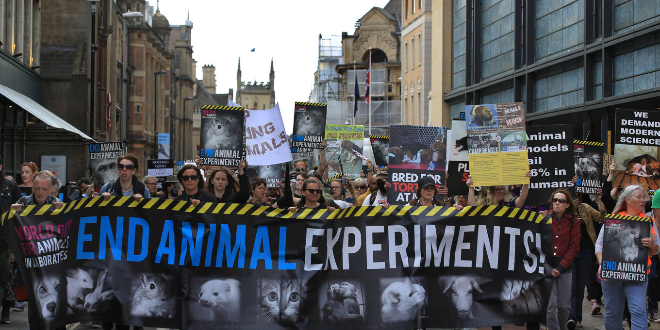 Peter Singer on Russian protests, animal testing, AI, and more by Peter ...