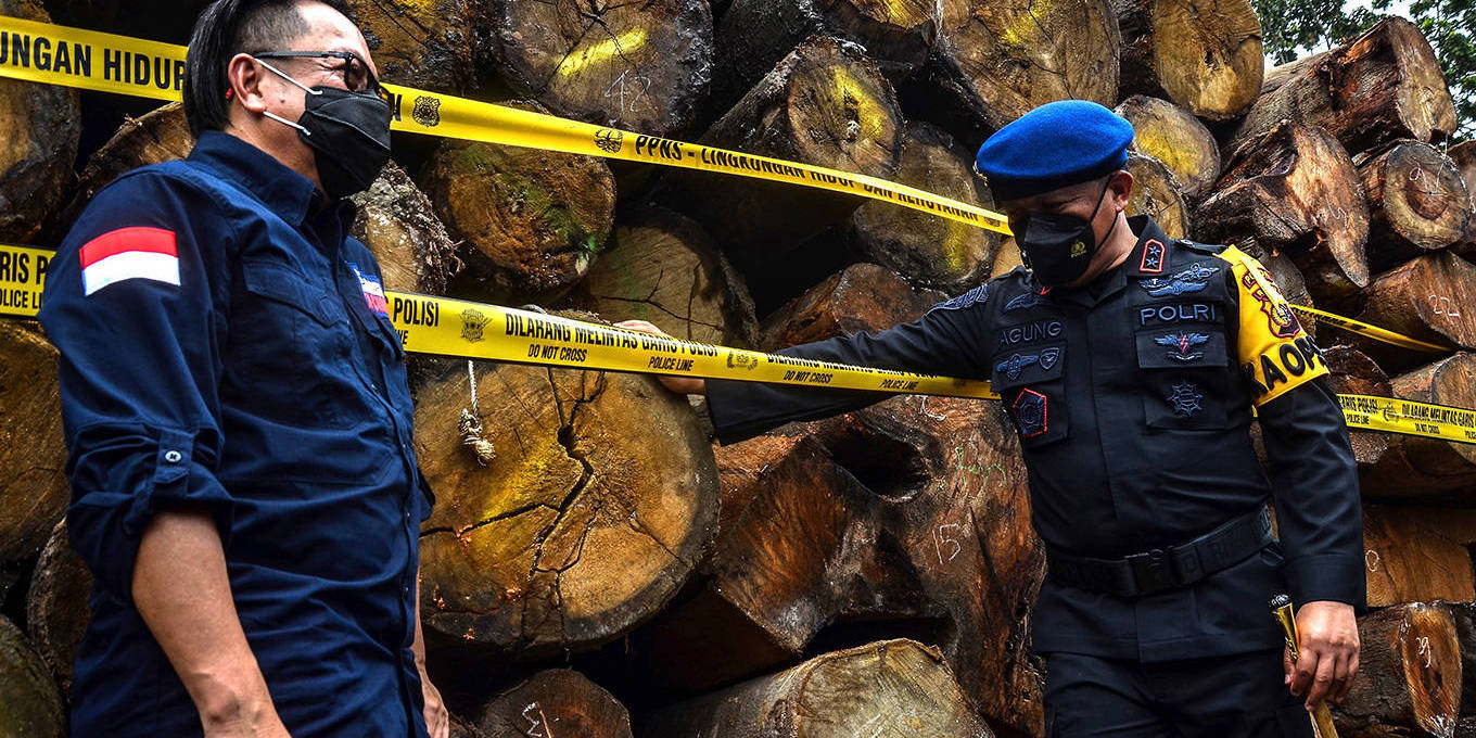 Legitimate Investors Are Financing Environmental Crime by Simon Zadek ...